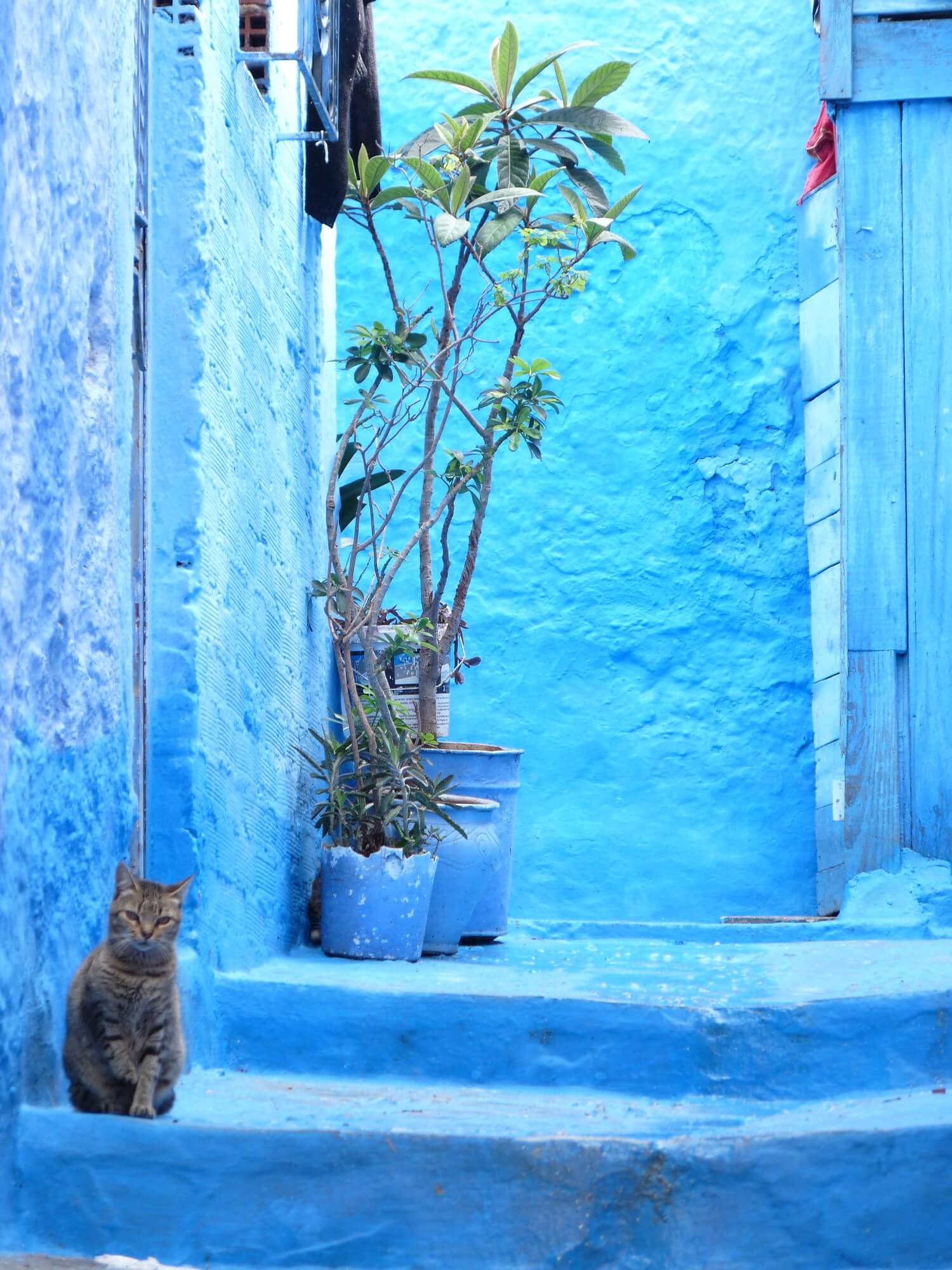 Visiter Chefchaouen, la ville bleue du Maroc : que faire en 1 ou 2 jours?