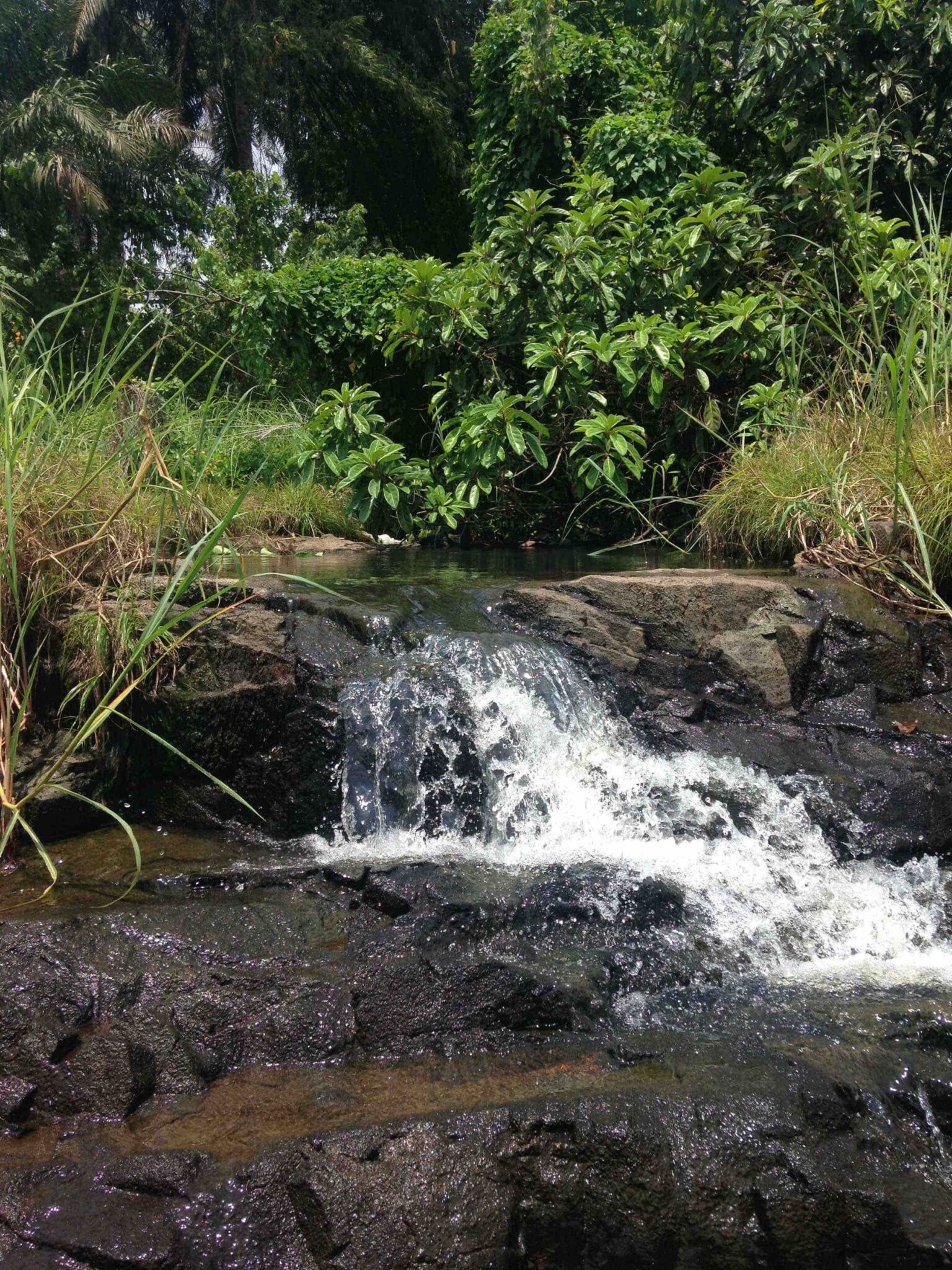 Visiter Kribi : que faire dans cette station balnéaire du Cameroun ...