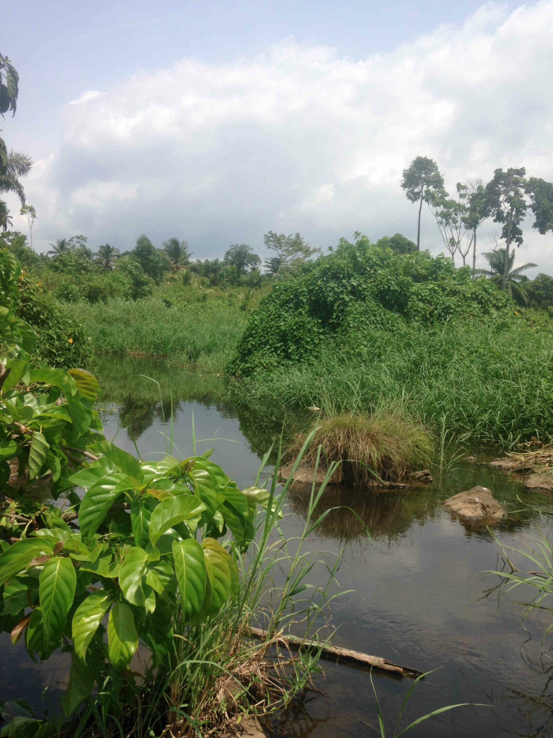 Visiter Kribi : que faire dans cette station balnéaire du Cameroun ...