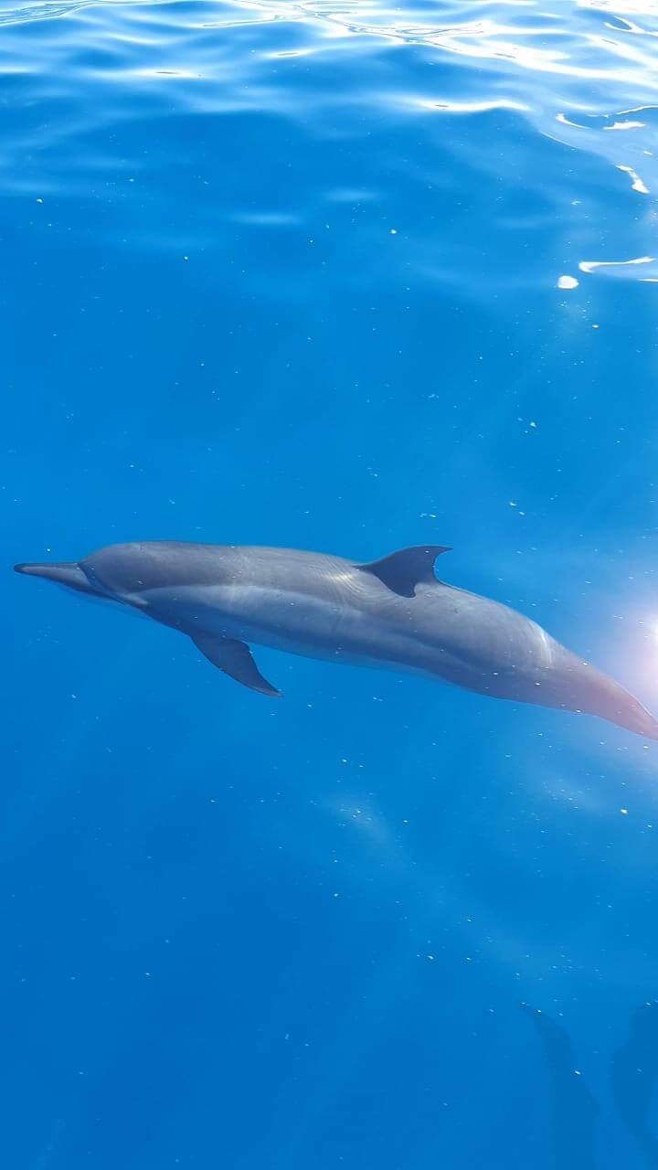Où trouver du Malarone pas cher ? | Partir voir le monde