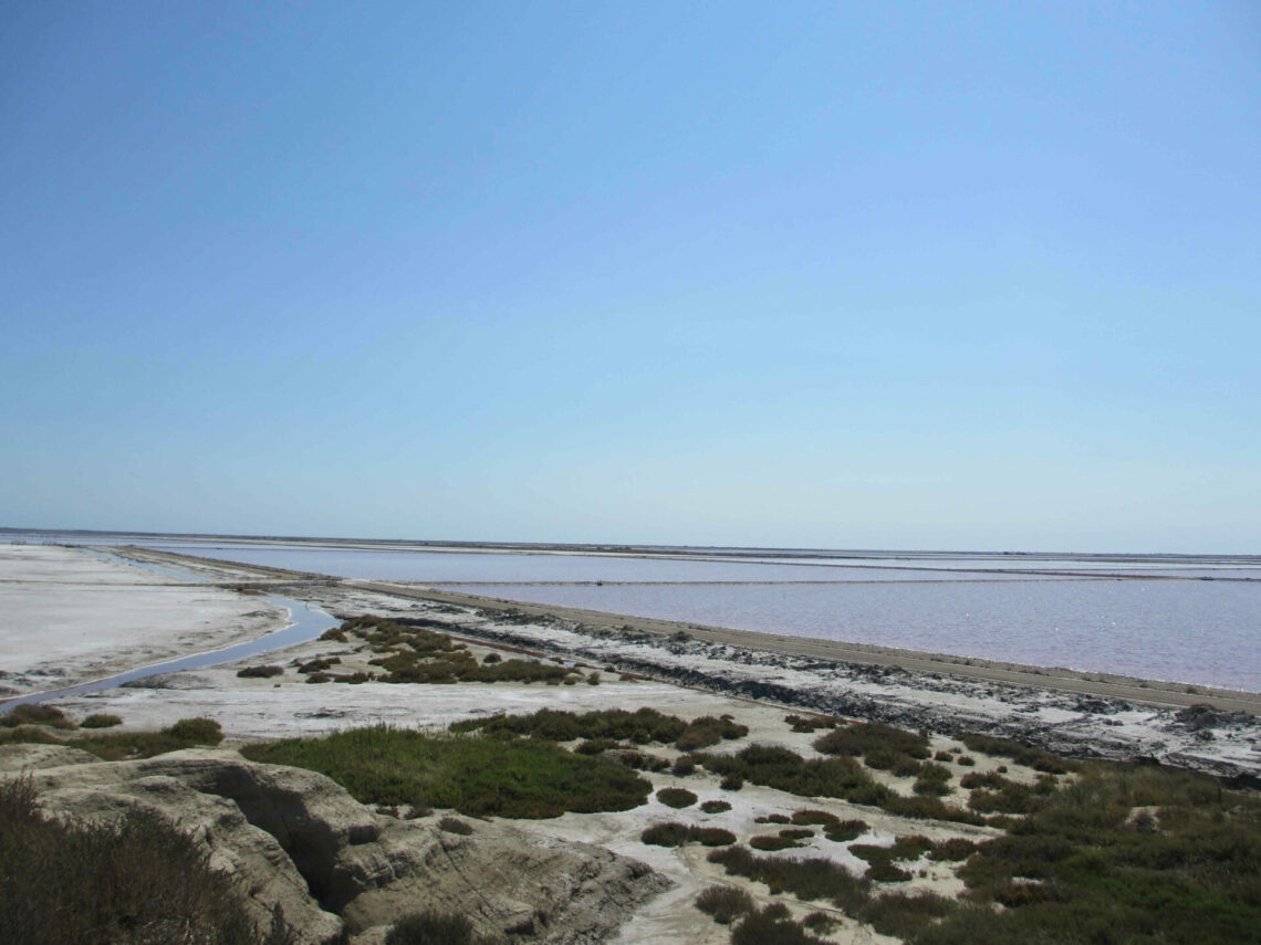 Une semaine en Camargue et aux alentours : que faire ? | Partir voir le ...
