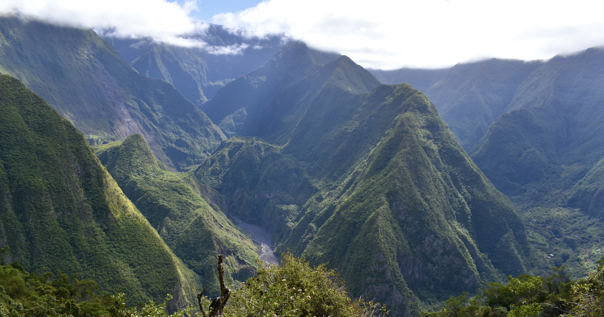 Grand Bassin (Réunion) : guide randonnée, accès et conseils